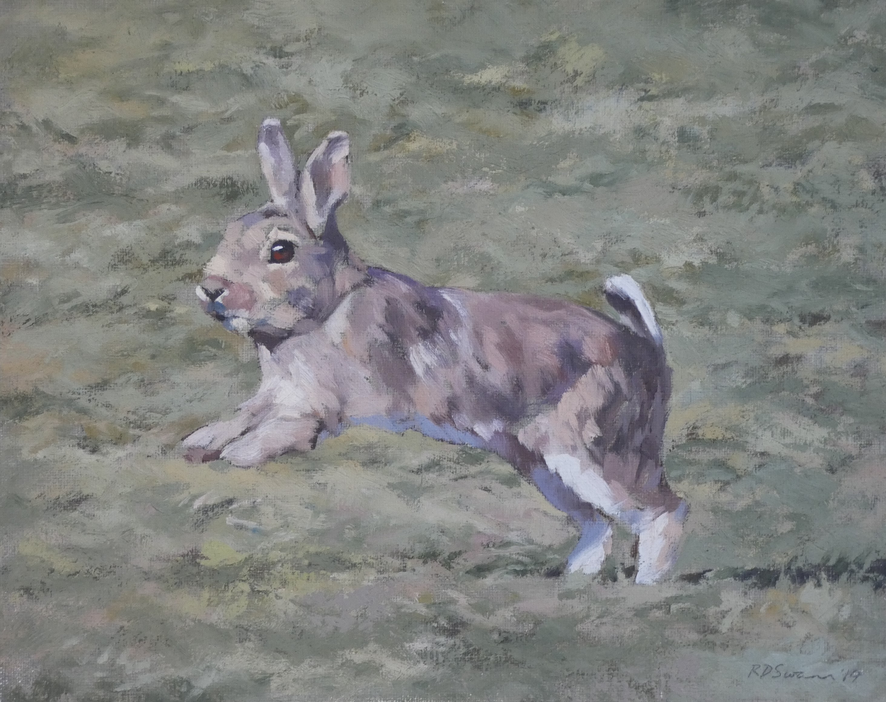 YEAR OF THE RABBIT | RICHARD SWANN ART